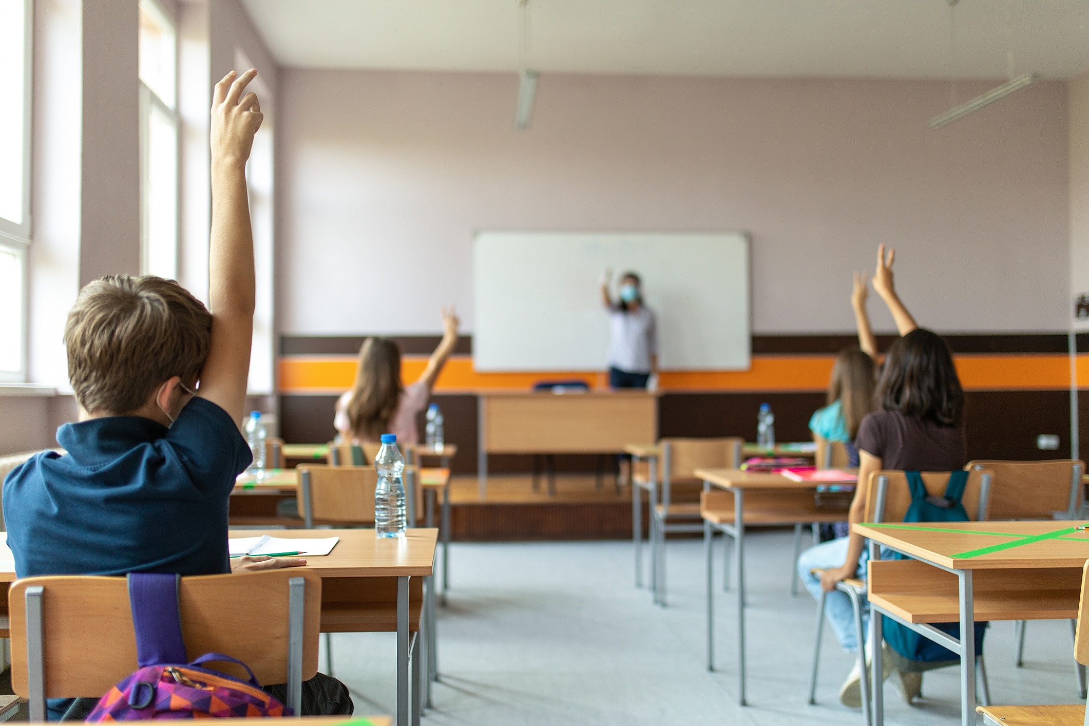 Educação tradicional: confira algumas informações!
